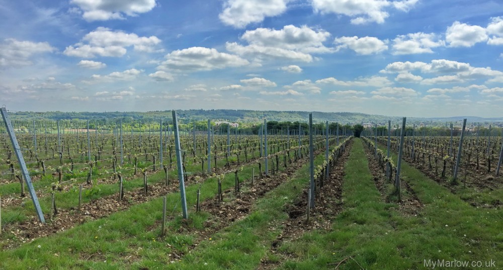 Harrow and Hope - sparkling wine from Marlow's own vineyard - My Marlow