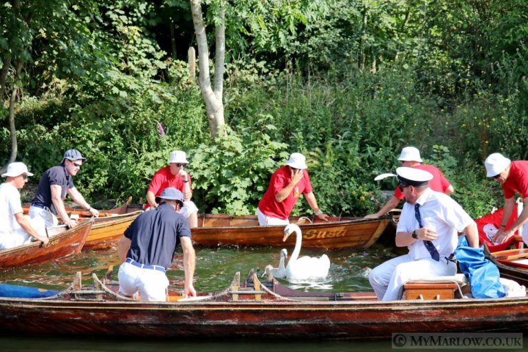 Marlow news, reviews, events, activities and more from the MyMarlow team